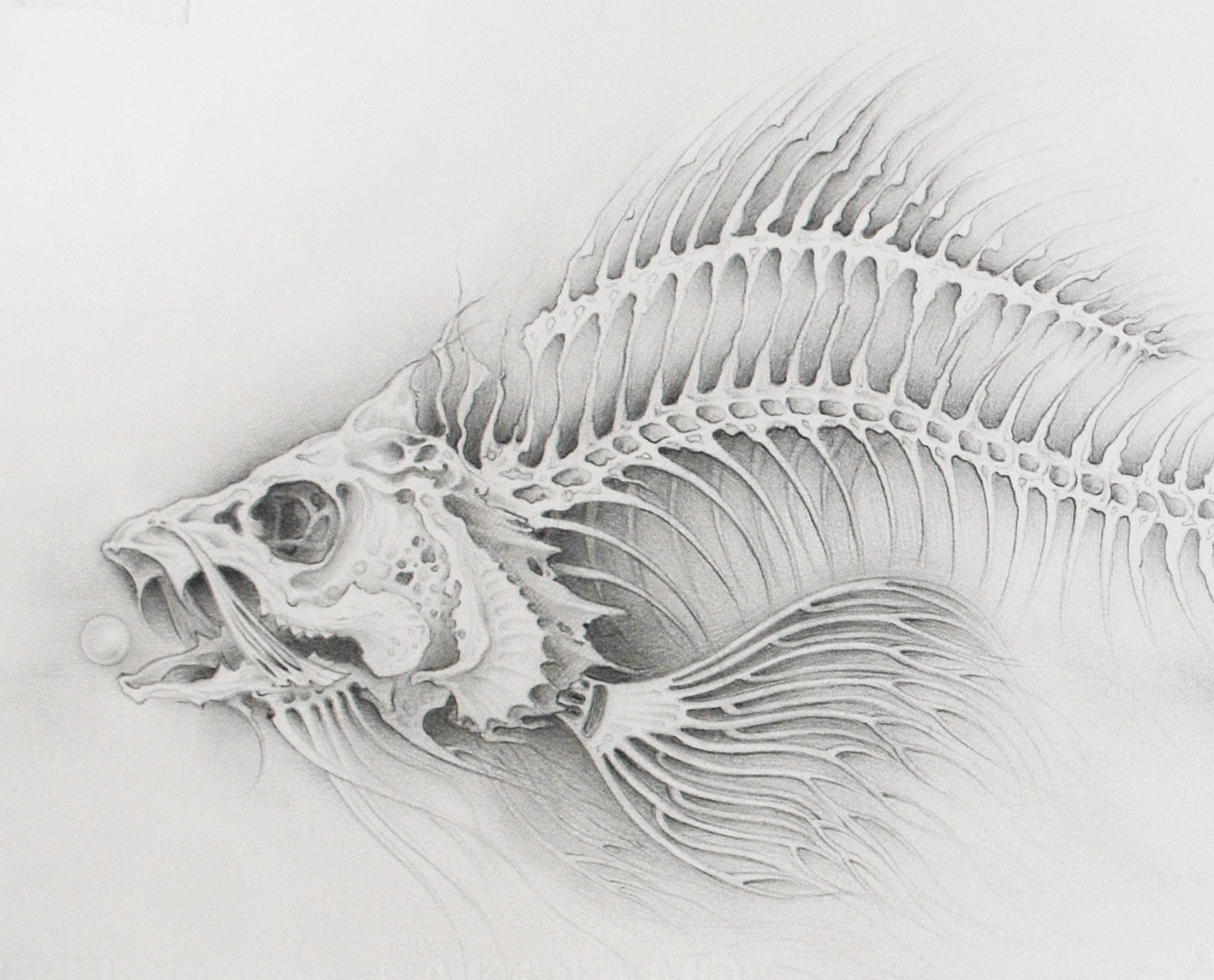 Anita Chowdry Drawings