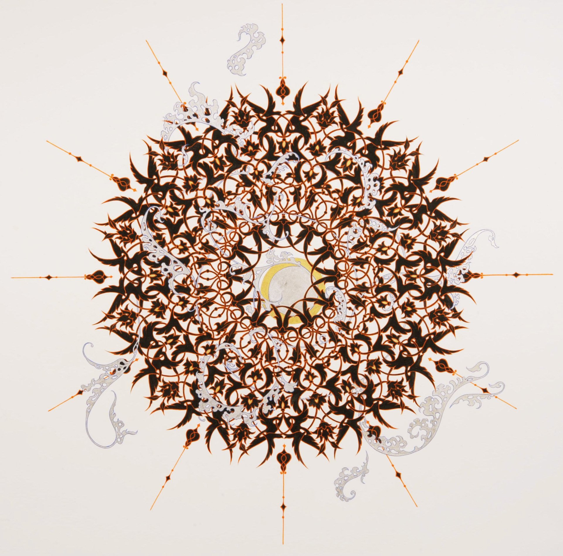 Anita Chowdry Visual Artist