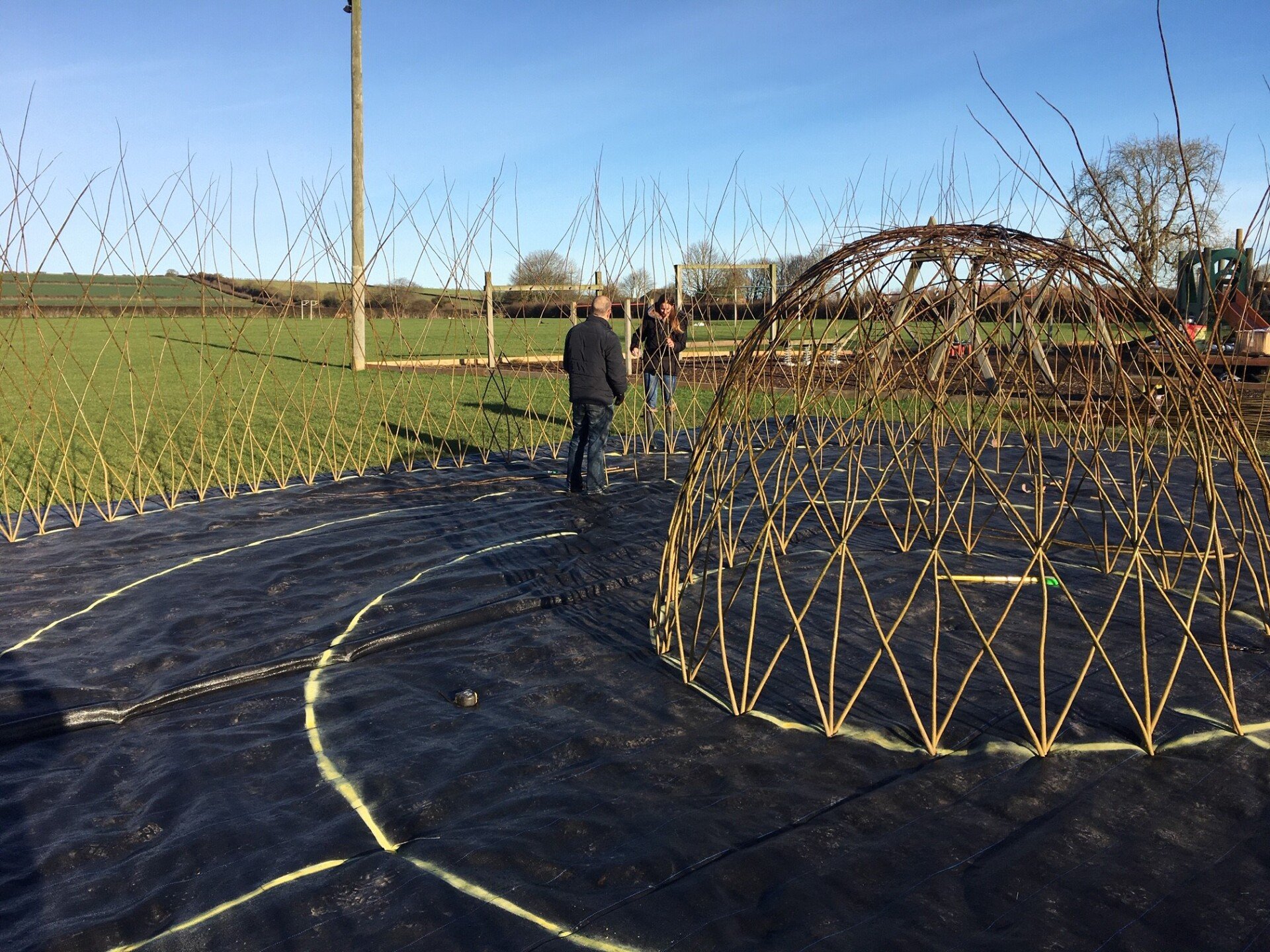 Living Willow Structures, Willow Tunnel, Willow Wigwam, Willow Dome