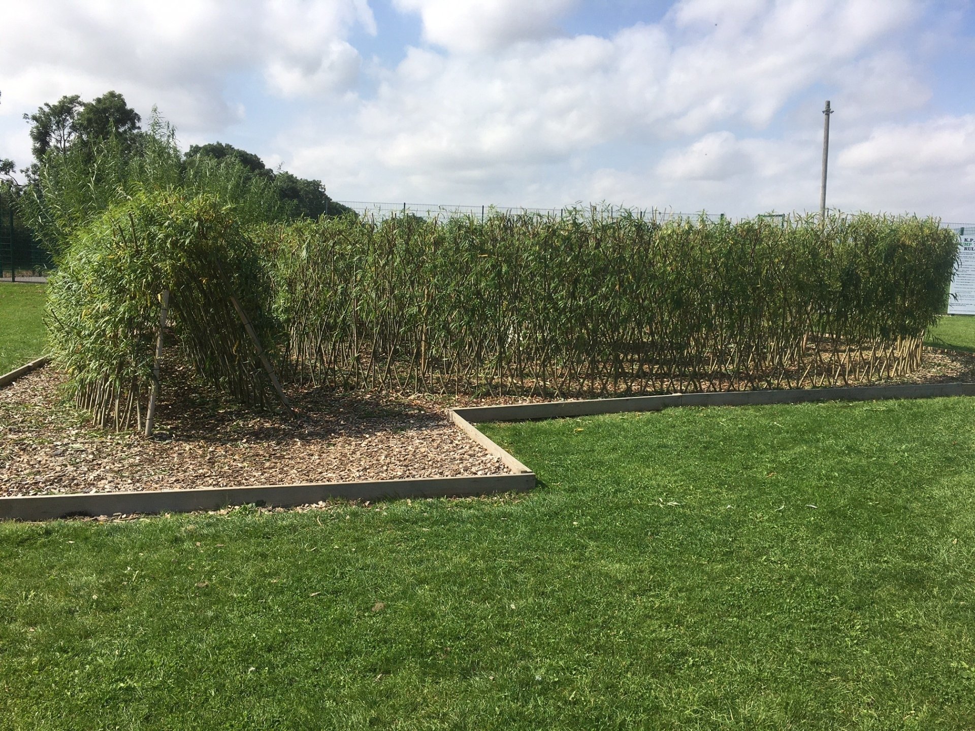 Living Willow Structures, Willow Tunnel, Willow Wigwam, Willow Dome