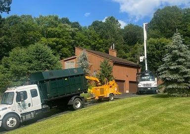 Orange County Tree Service - Tree Removal & Trimming