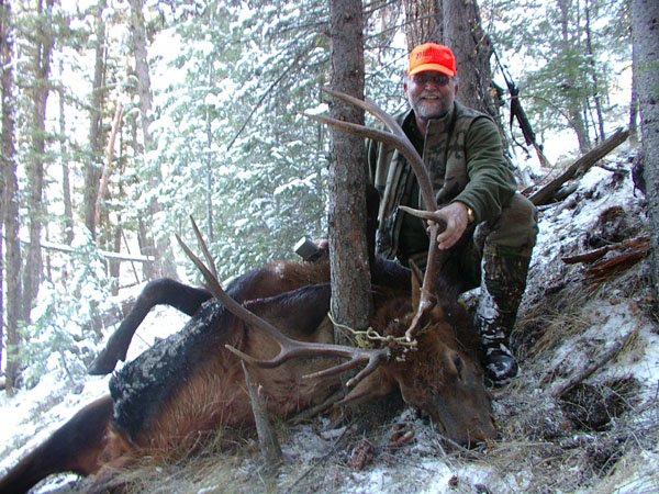 Montana Elk hunting