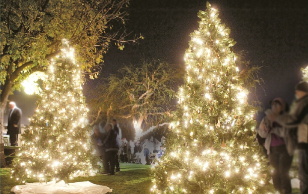 Christmas Tree Program | Myers Funeral Service and Crematory