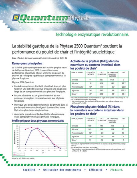 Translation Services | Minneapolis, MN | Intransol