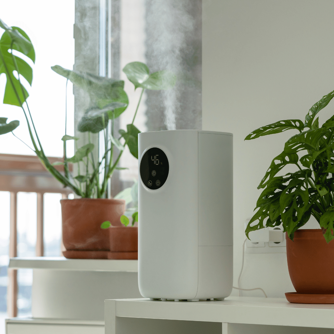 Humidity Harmony: Create a Comfortable Home | Salt Air Inc