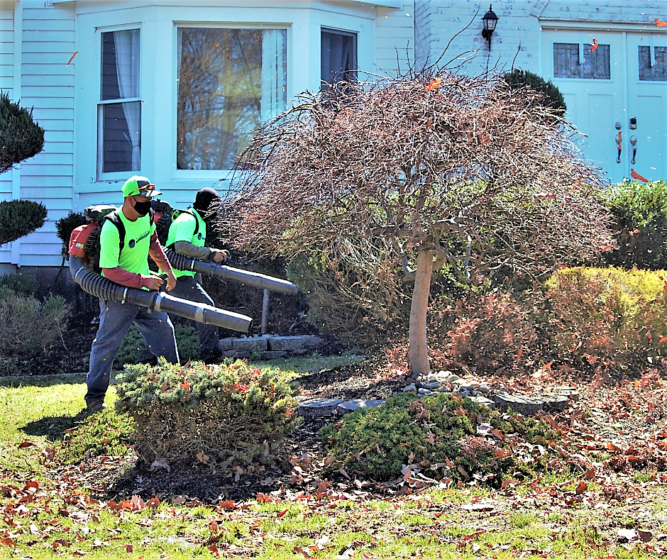 Fall Yard Cleanup Tips for New Jersey - Yard Cleanup Checklist