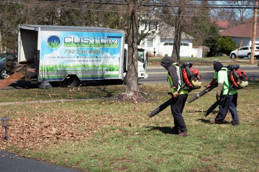 5 Reasons Why You Should Do a Fall Cleanup