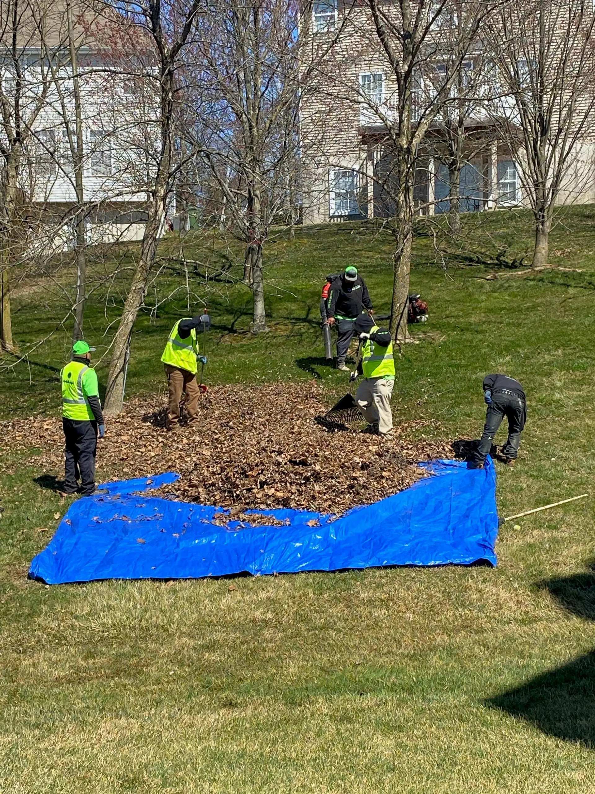 Spring and Fall Yard Cleanup Services in New Jersey