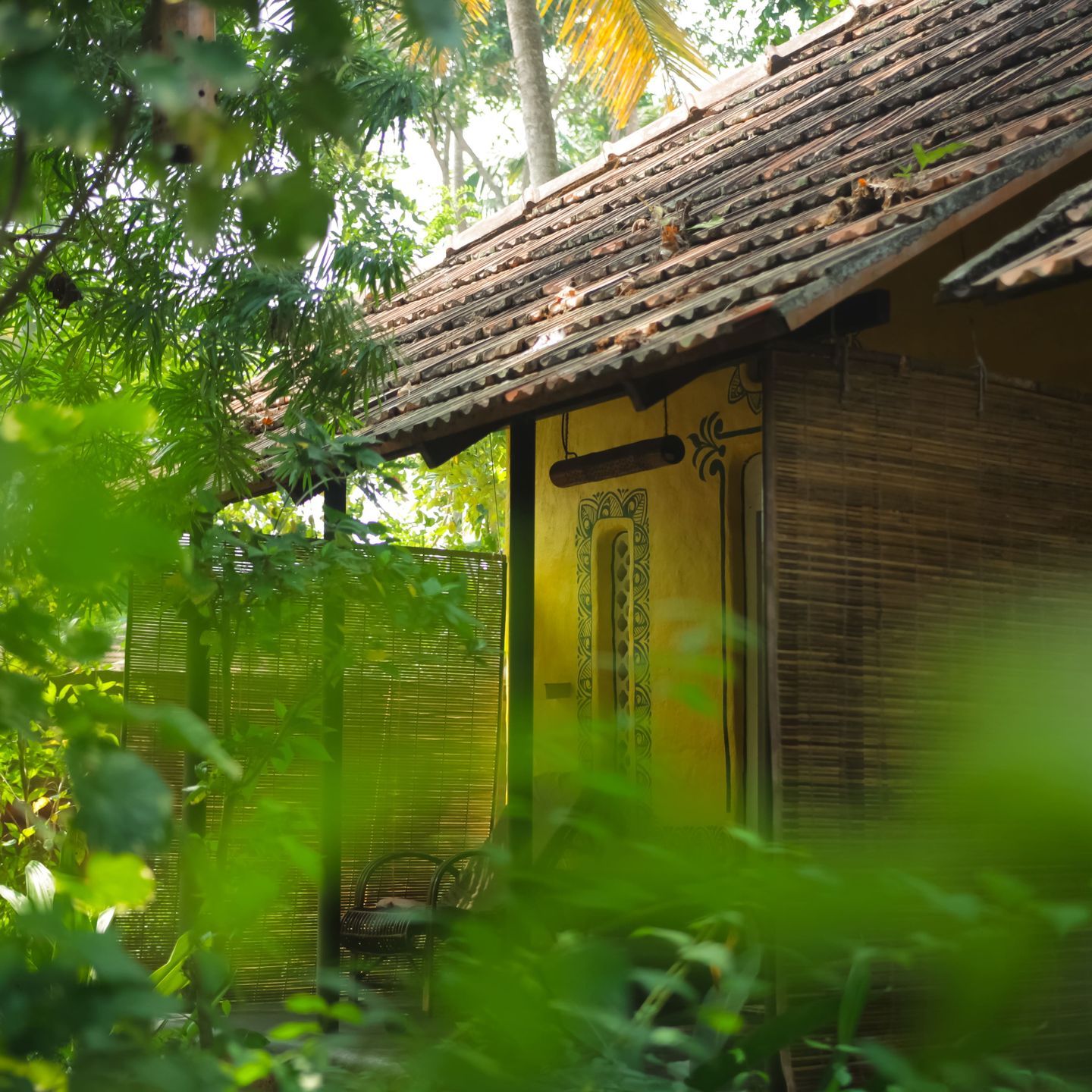 Yoga Retreat in Kerala India