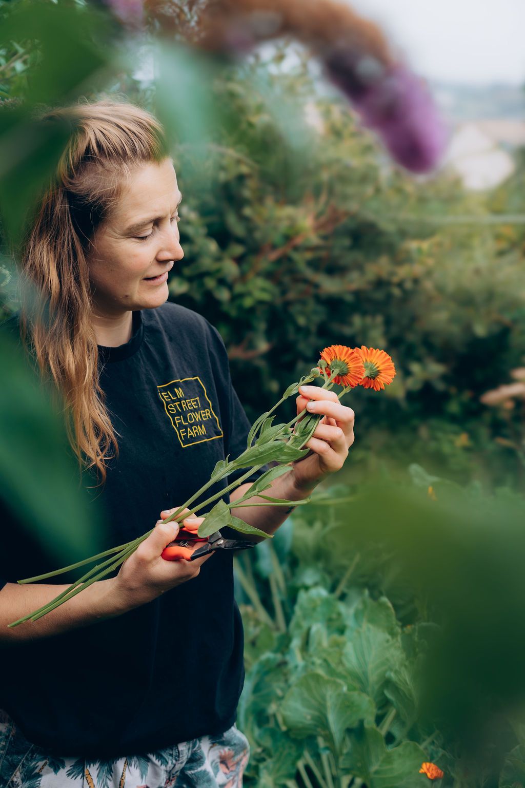 Beautiful seasonal British flowers from Northumberland.