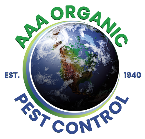 Pest Removal | Albuquerque, NM | AAA Organic Pest