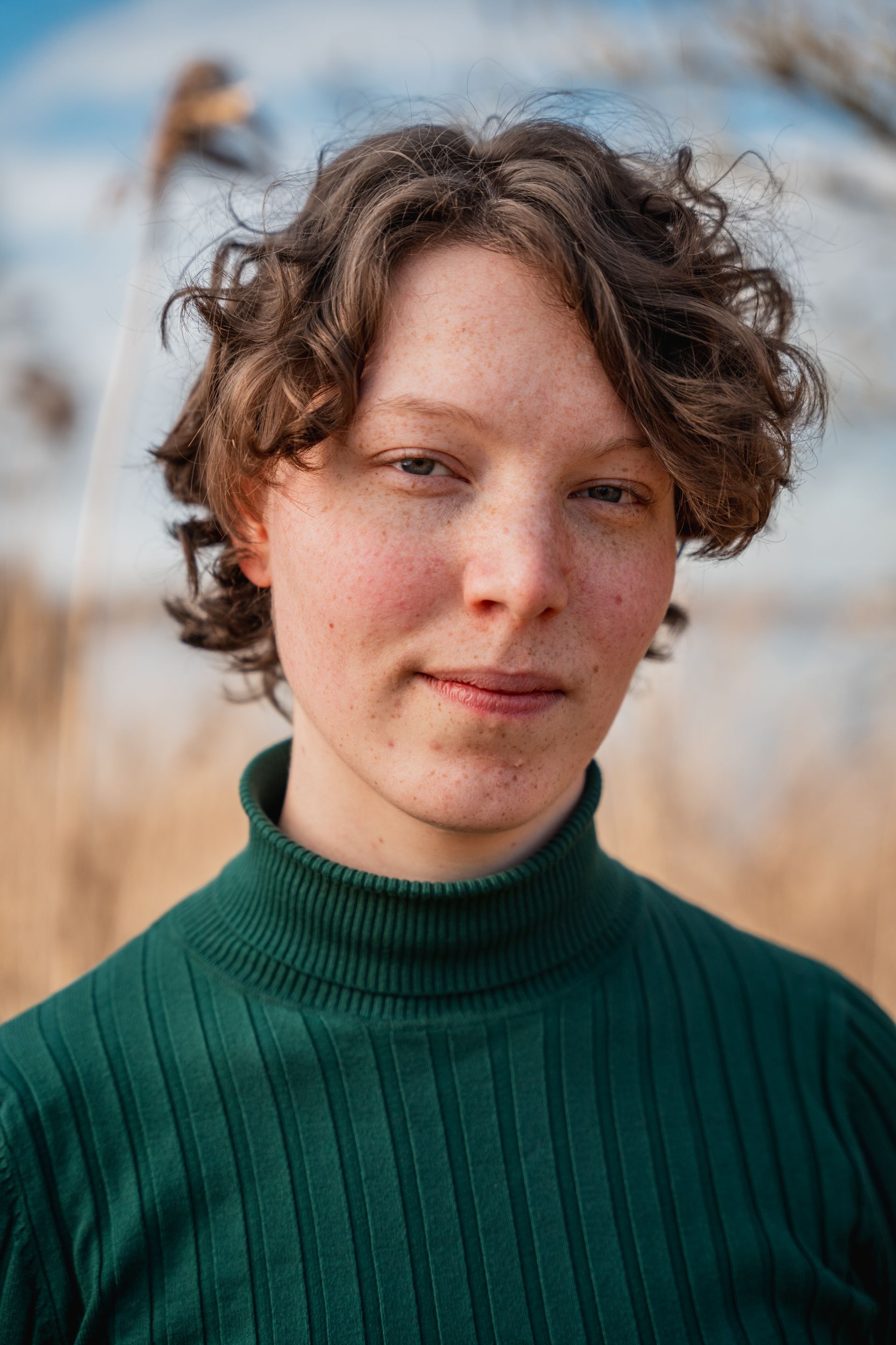 Portretten, Wilke Geurds Beeldverhalen