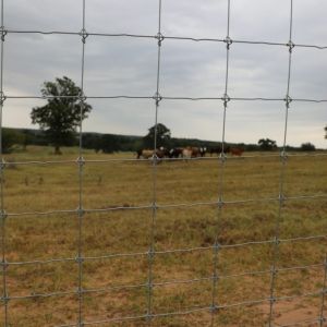 RANGER GATE | RANCH MANUFACTURING | FENCING