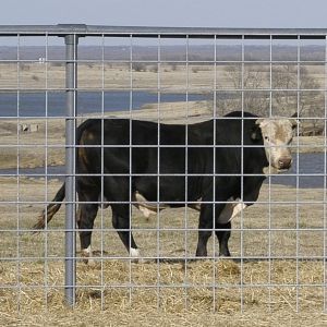 RANGER GATE | RANCH MANUFACTURING | FENCING