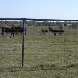 RANGER GATE | RANCH MANUFACTURING | FENCING