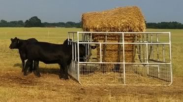 RANGER GATE | RANCH MANUFACTURING | CATTLE