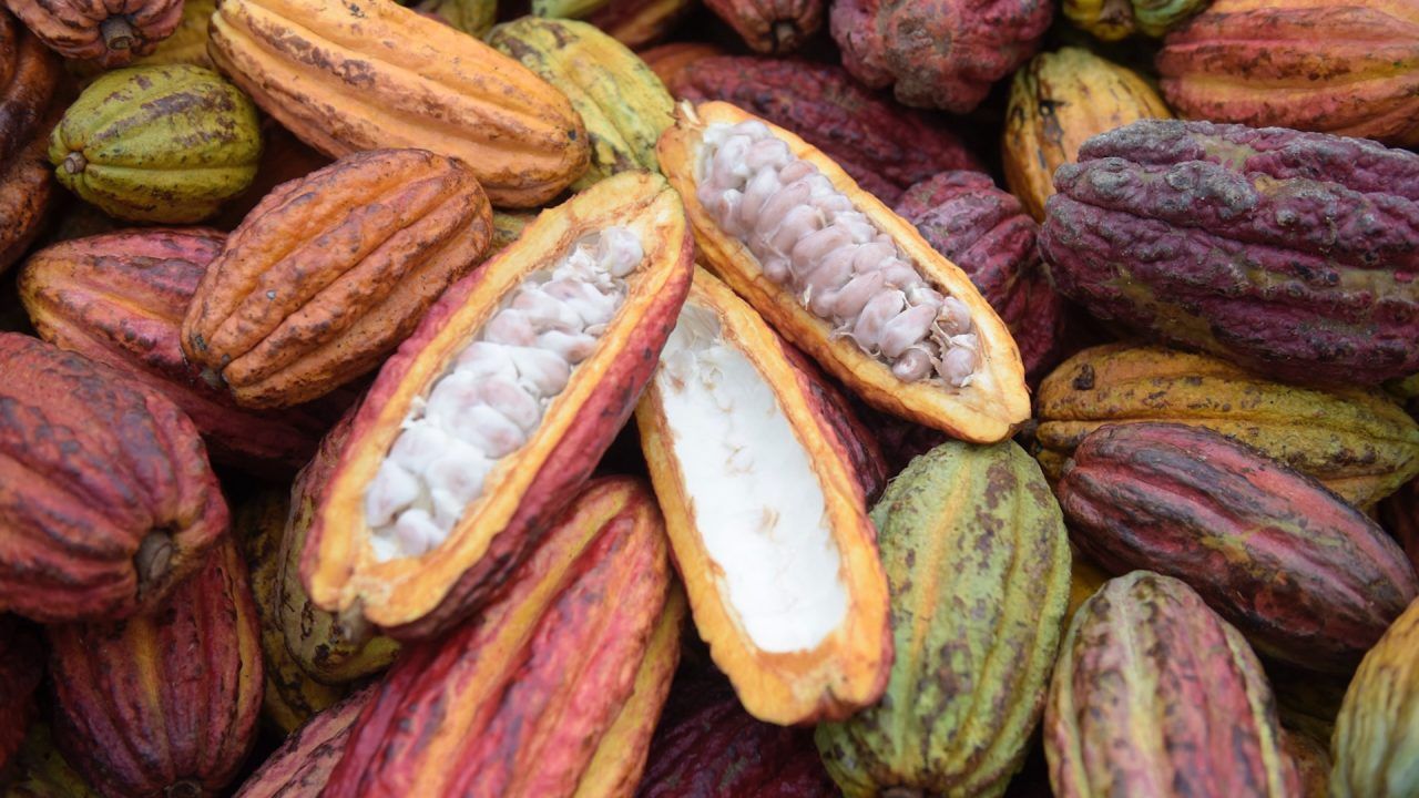 Ecco i risultati della Chocolate Scorecard