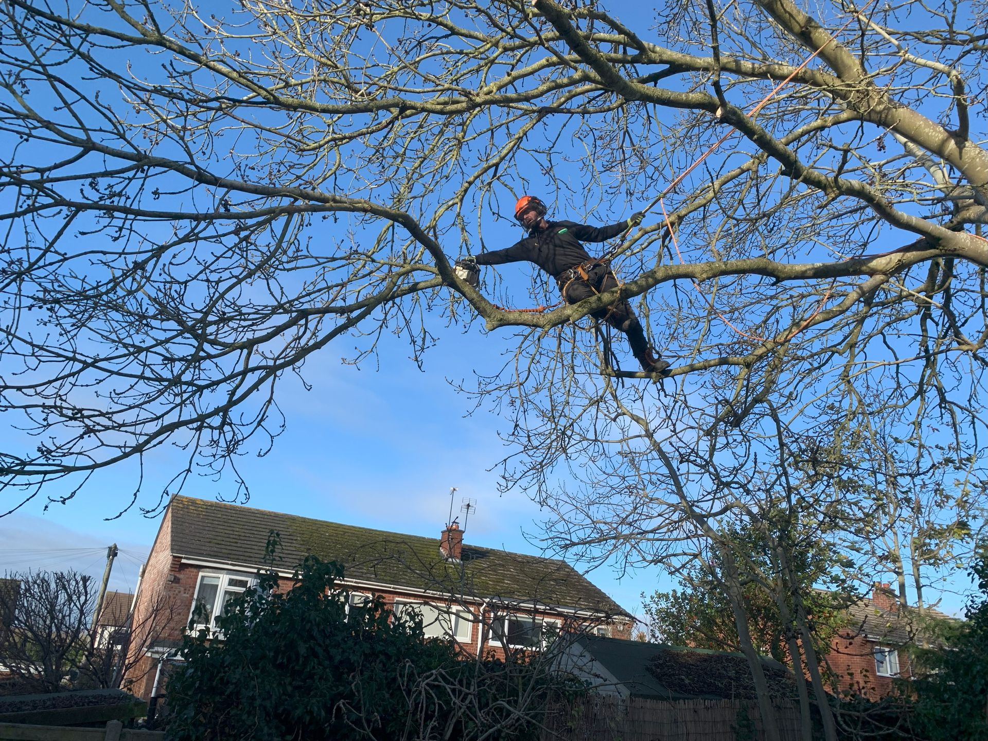 Commercial Tree Surgery & Garden Maintenance