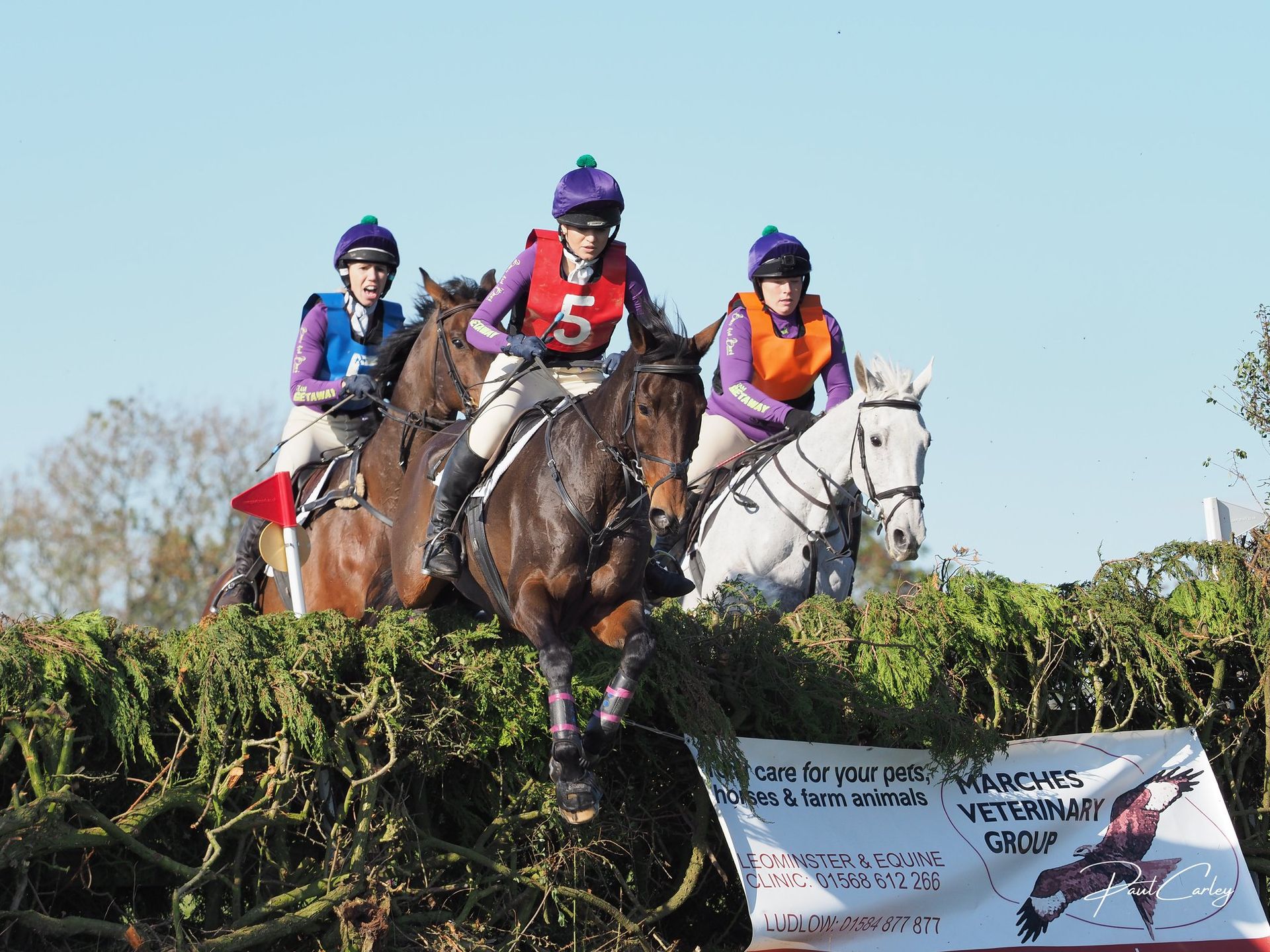 Courses | British Team Chasing