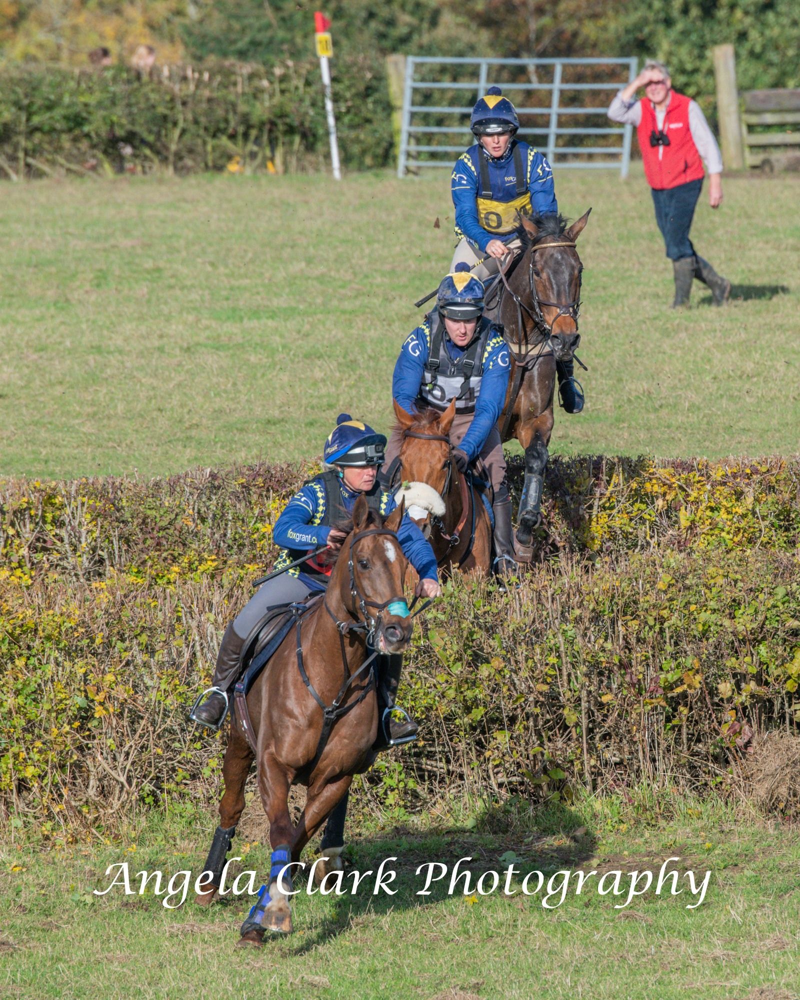 Courses | British Team Chasing