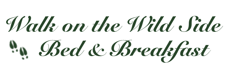 Wild Side Bed & Breakfast | Your Romantic Idaho Getaway
