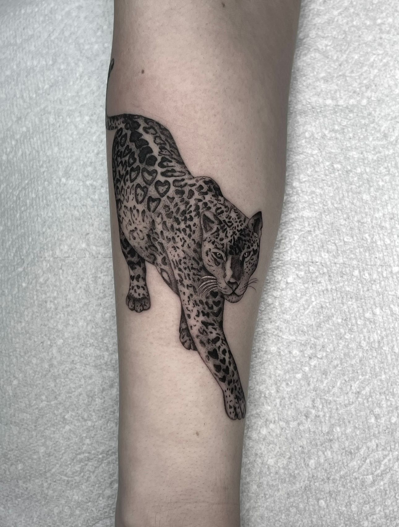 Deja Monet| Micro Realism| Black and Grey | Fine Liine