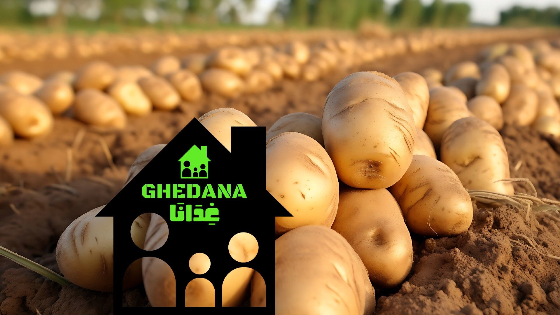 The Wonderful World of Potatoes: Varieties and Benefits