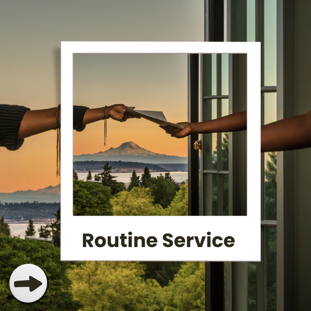 Process Server: Trusted in the Puget Sound - WA Pro Se