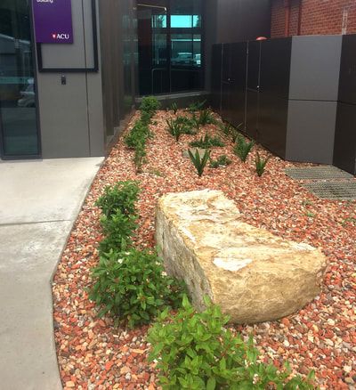 ACU Ballarat Physiotherapy Building