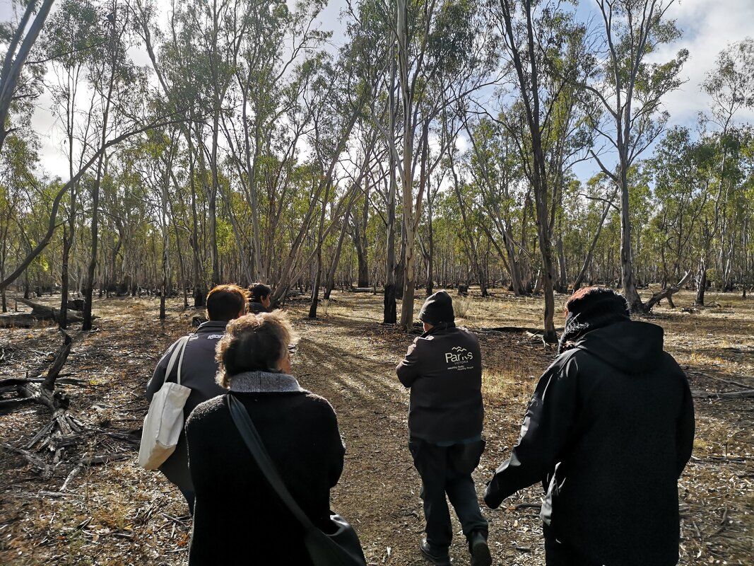 Dharnya Trails Masterplan - Barmah National Park