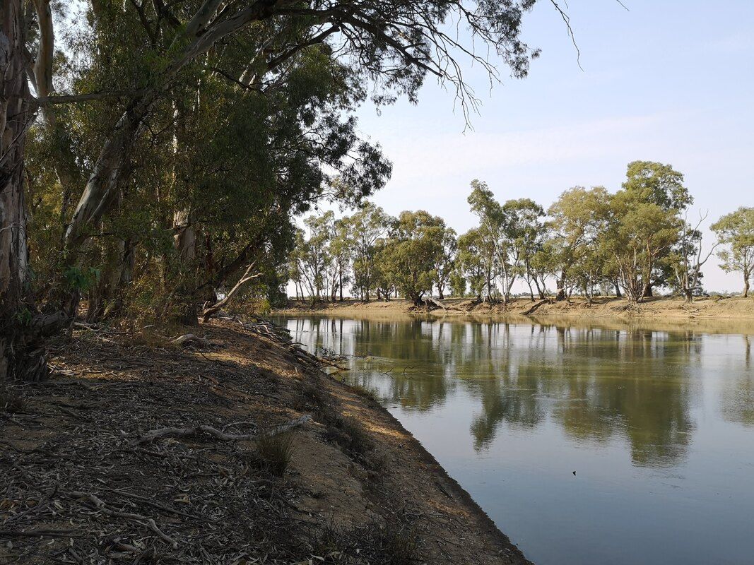 Murray Downs Nature Reserve