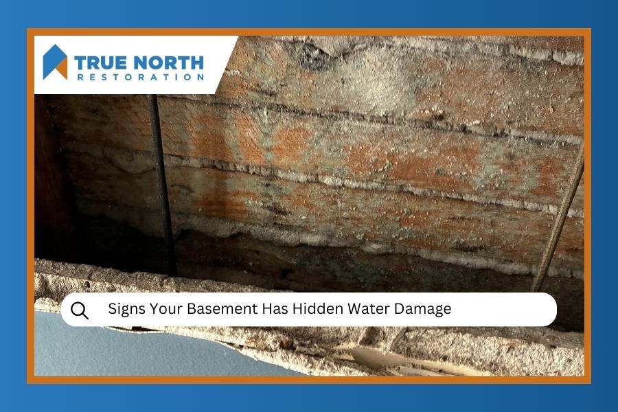 Signs Your Basement Has Hidden Water Damage