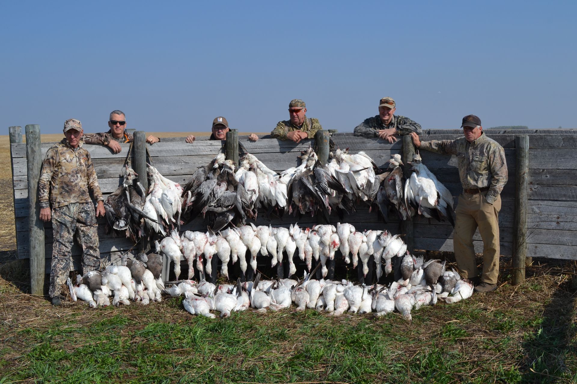 Saskatchewan Duck Hunting & Goose Hunting Guide & Outfitter
