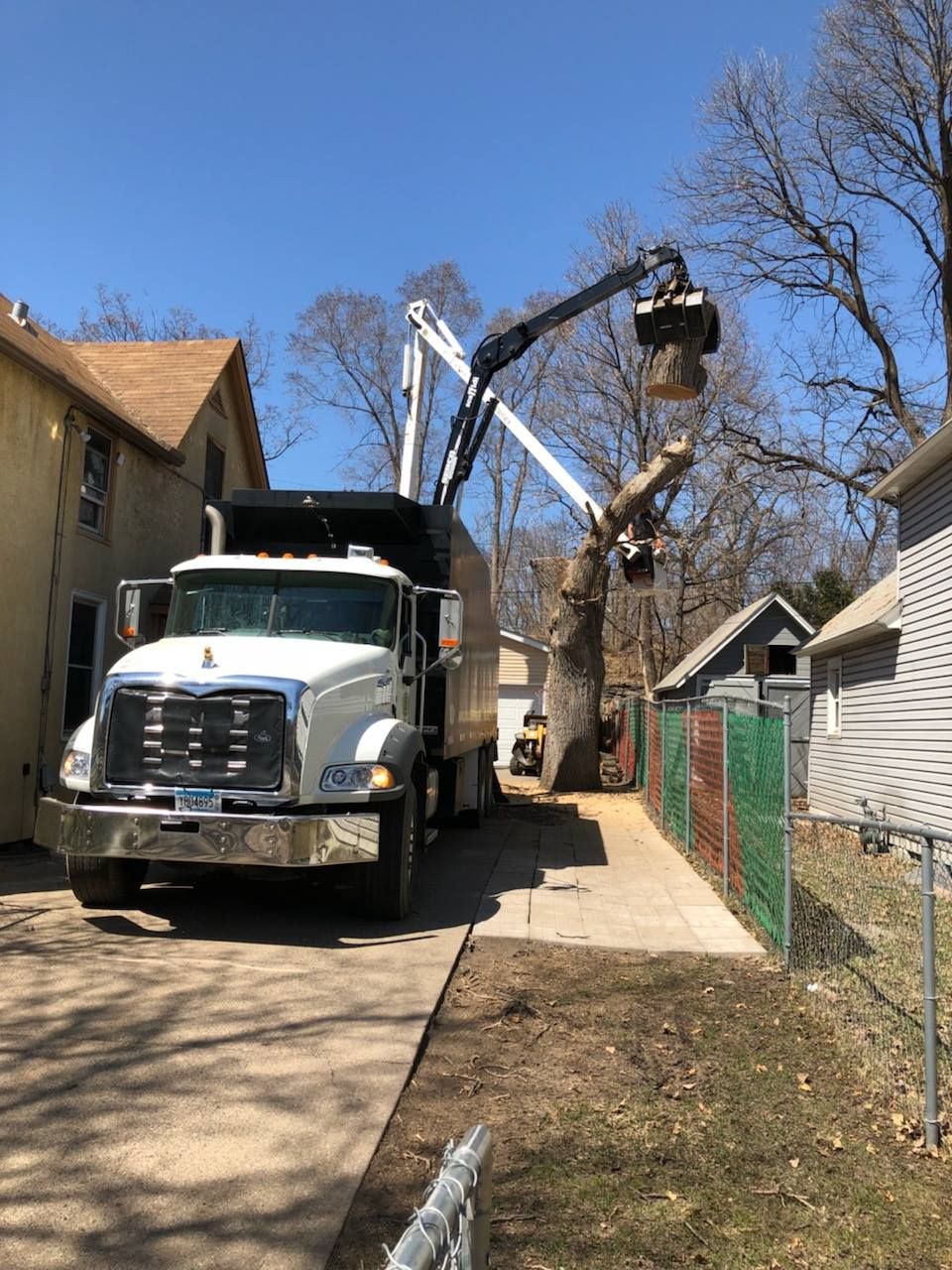 Arbor Barber Tree Service