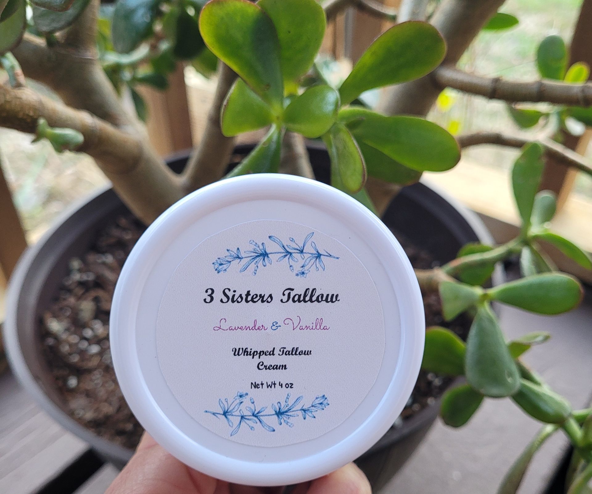 Structured Water, Copper, Tallow