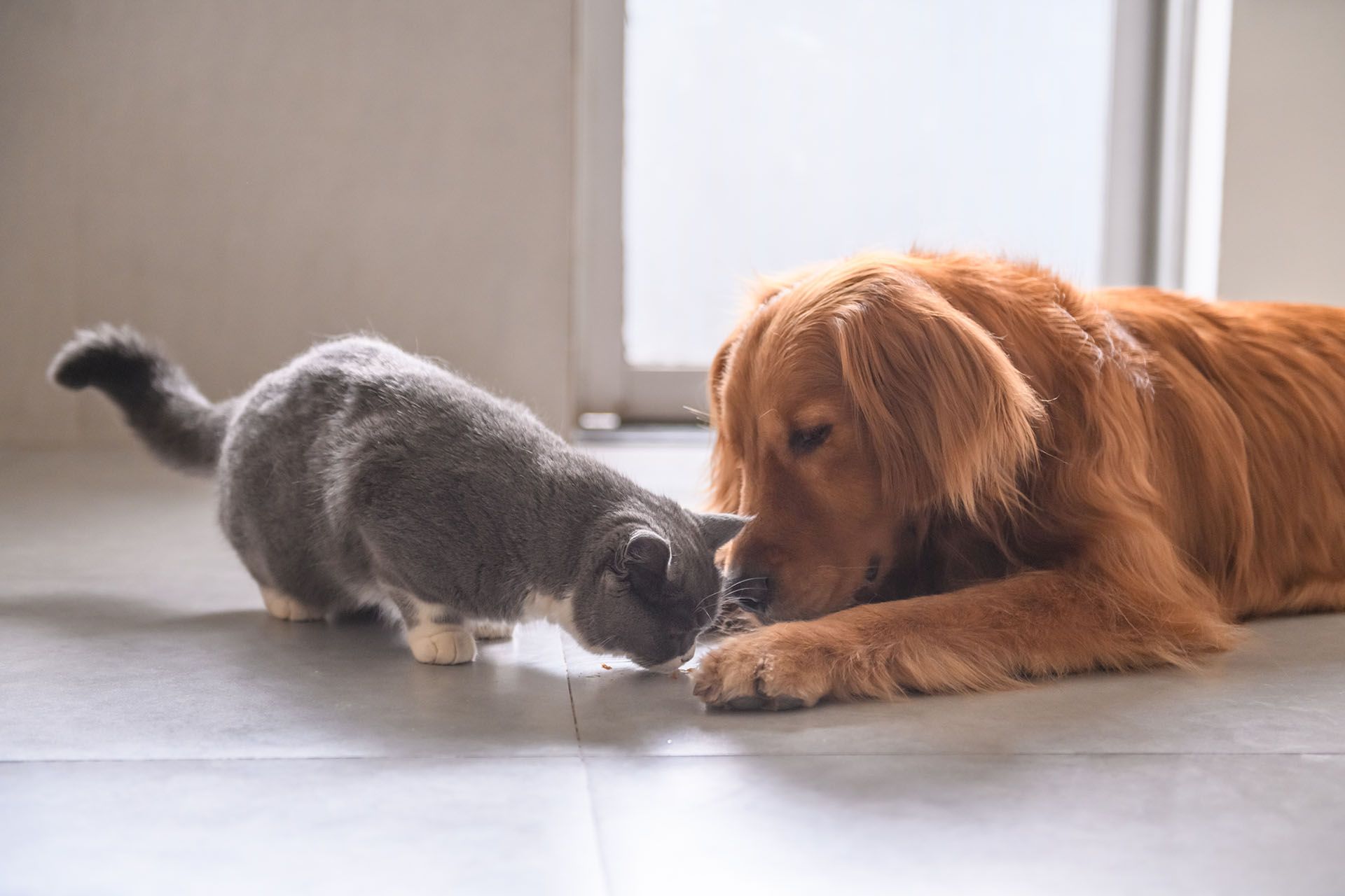 Hartsell Landing Page | Albemarle, NC