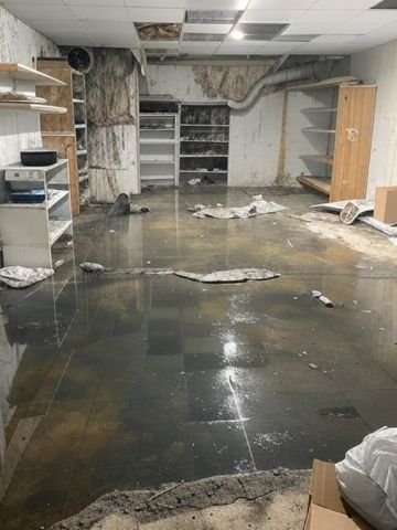 Basement Damage Restoration: Fire, Mold and Water Damage Removal