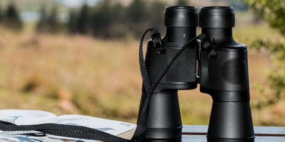 Essential Birdwatching Gear: Must-Have Equipment for Beginners