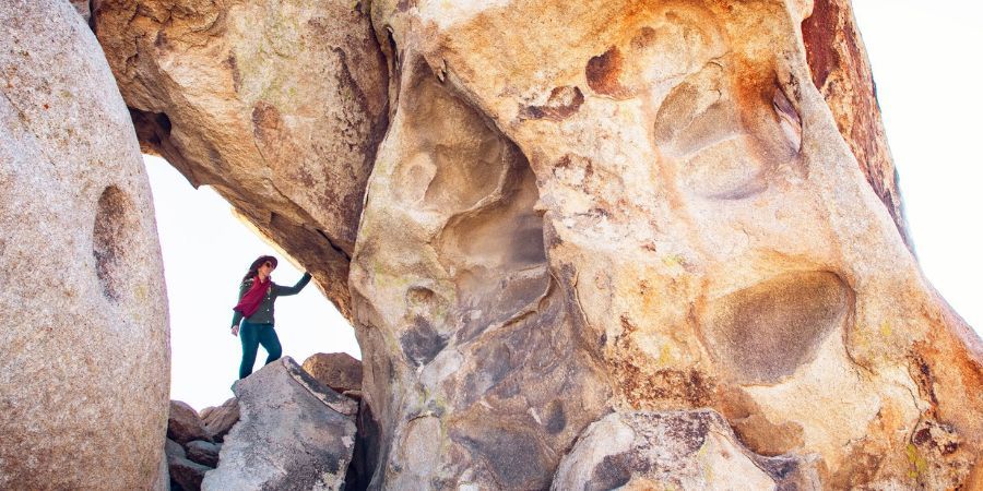 Exploring the Wonders of Joshua Tree National Park