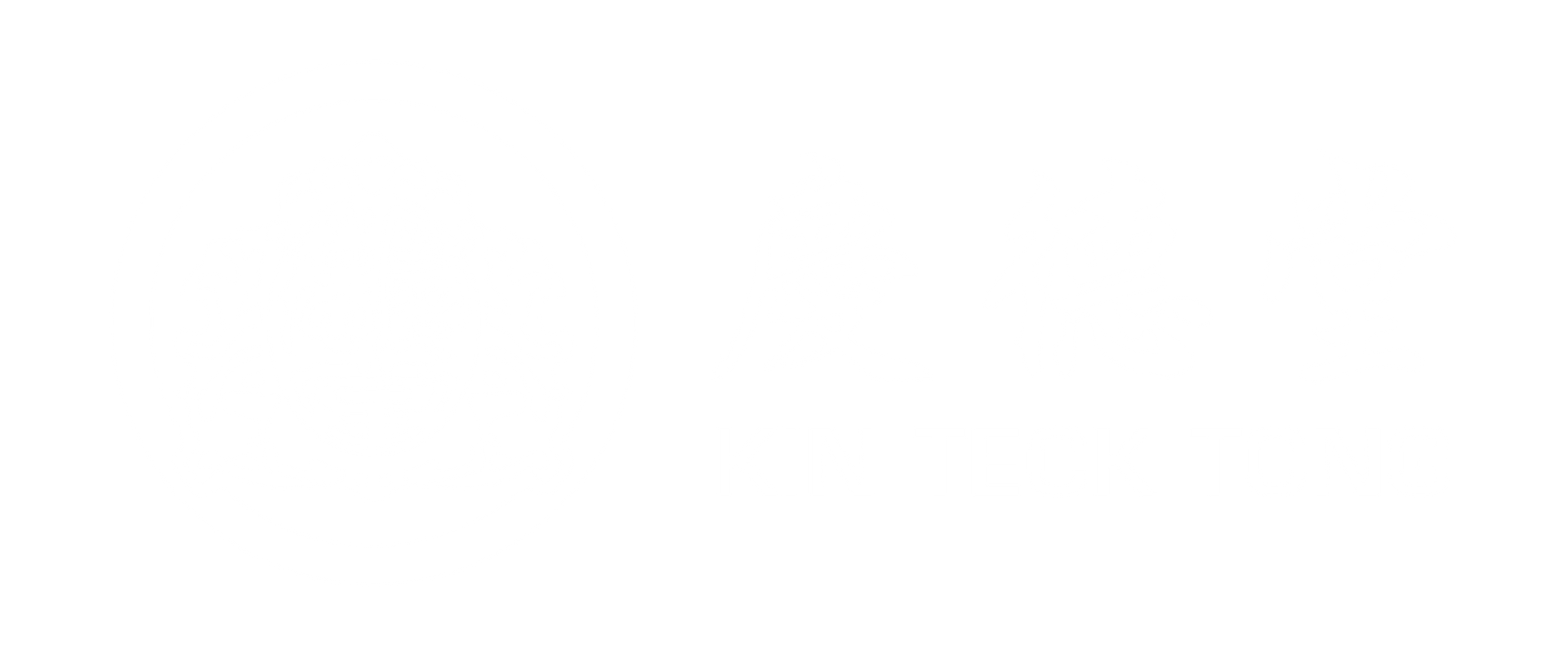 Facial Gua Sha | Kin Teck Tong