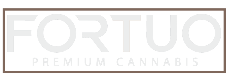 Learn More About Us | Fortuo | Lansing, MI