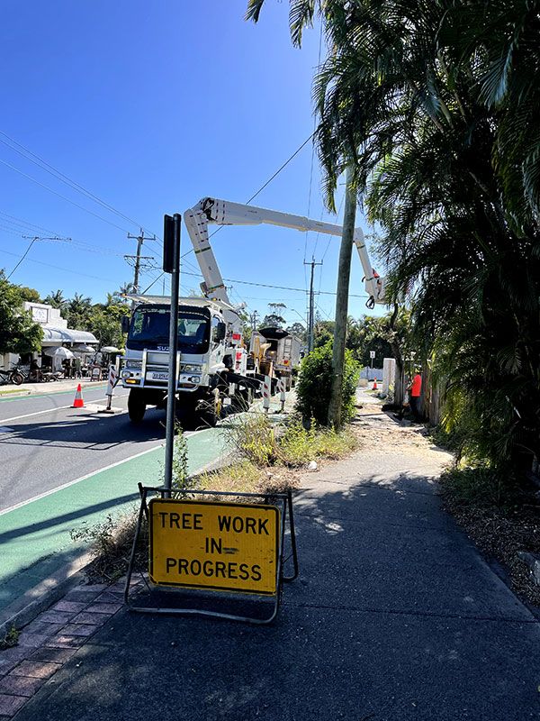 Emergency Arboricultural Services | Tallow Tree Services