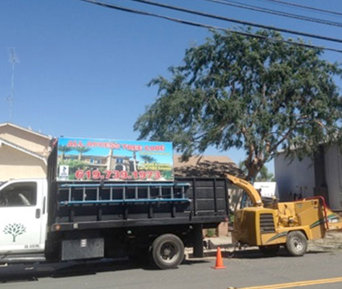 All Access Tree Care Project Gallery