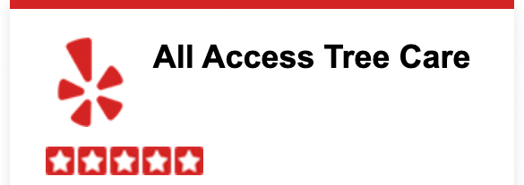 All Access Tree Care - San Diego Tree Care, Removal & Stump Grinding