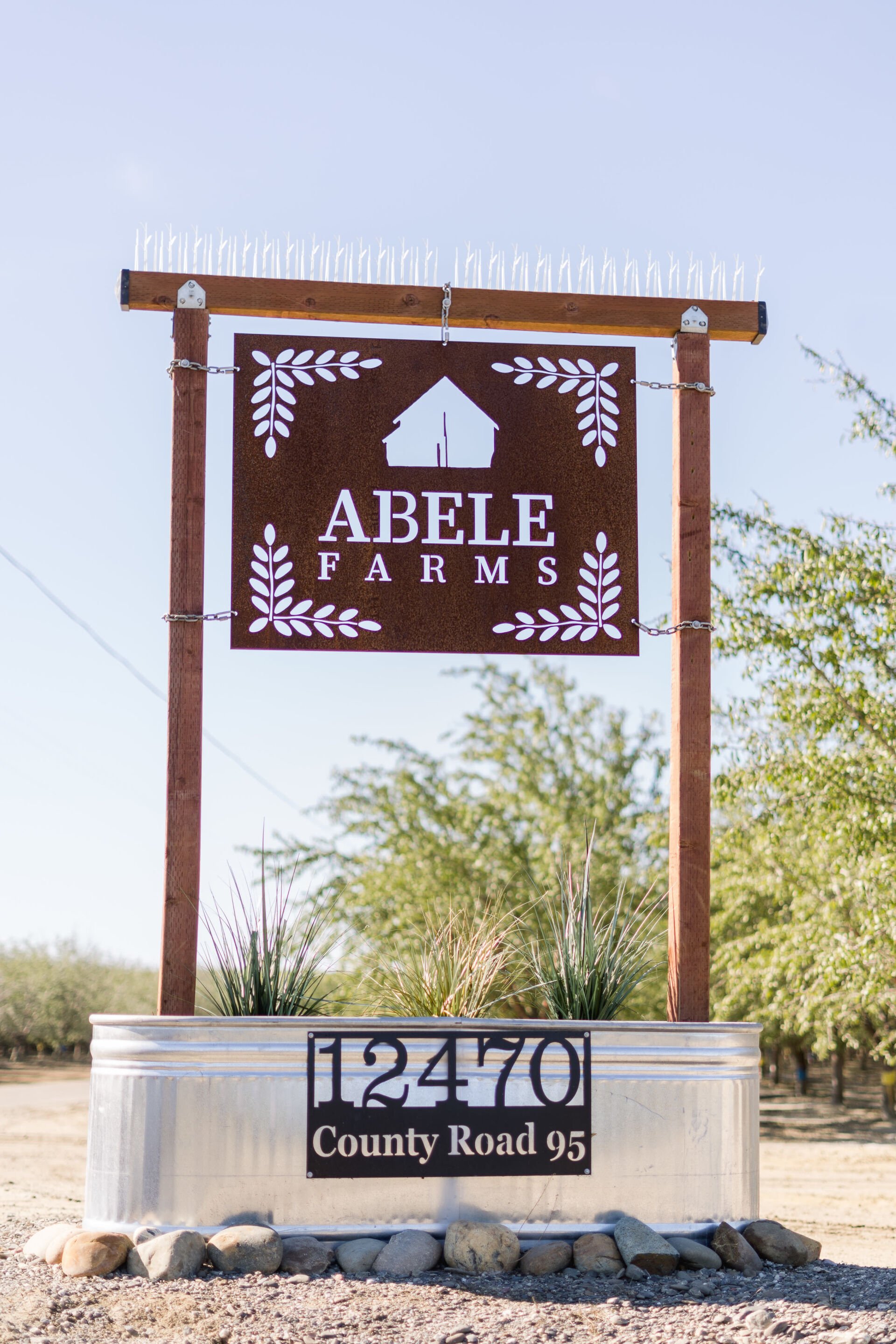 Gallery - Events-| Weddings - Woodland Ca