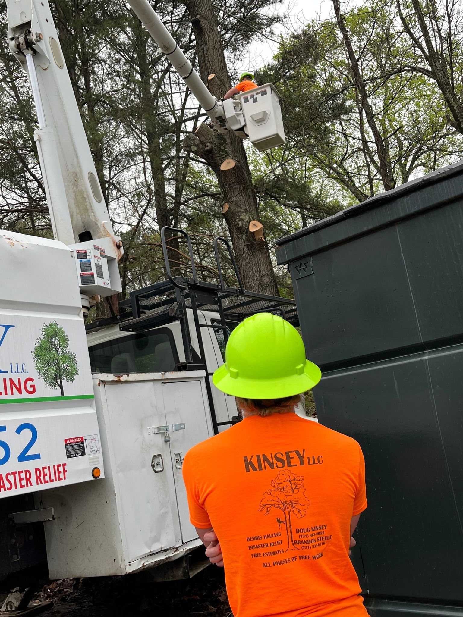 Kinsey LLC Tree Service | Project Gallery | Paris, TN and Surrounding Areas