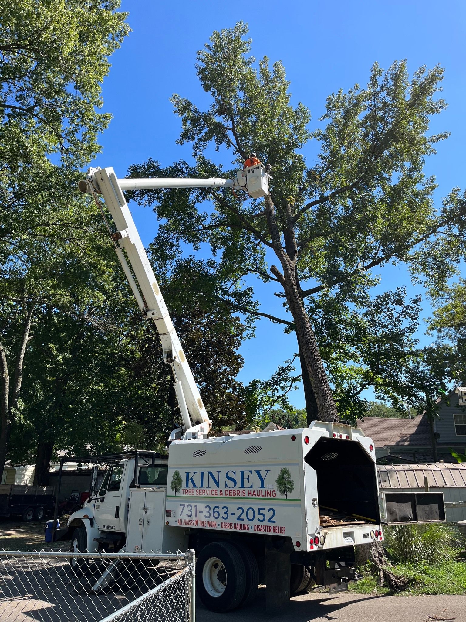 Kinsey LLC Tree Service | Project Gallery | Paris, TN and Surrounding Areas