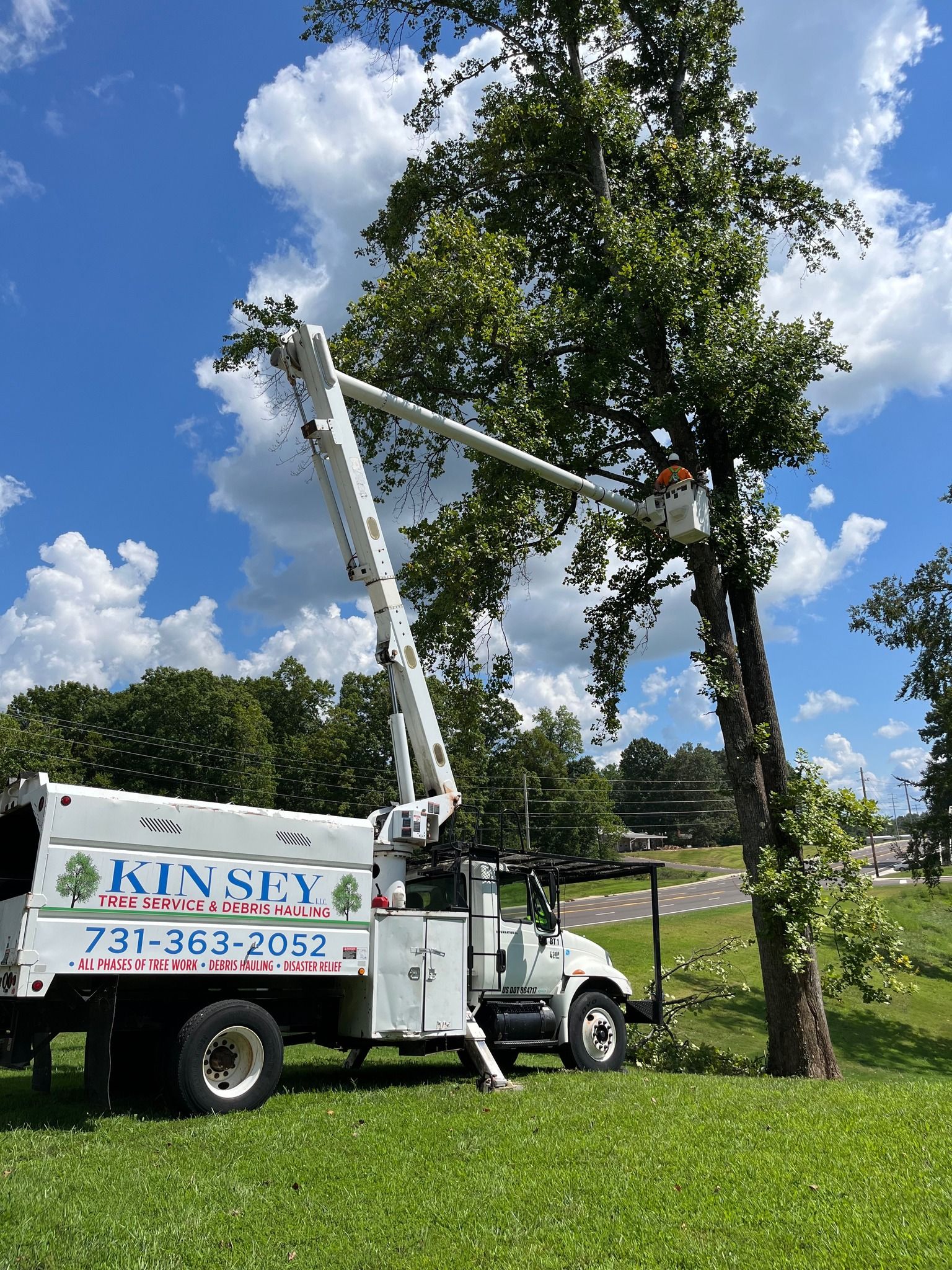Kinsey LLC Tree Service | Project Gallery | Paris, TN and Surrounding Areas