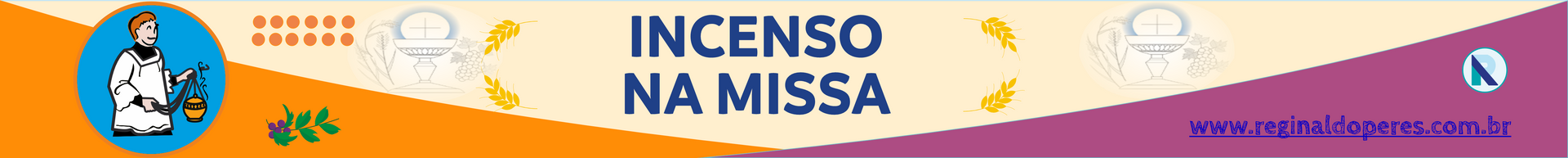 Professor Reginaldo Peres