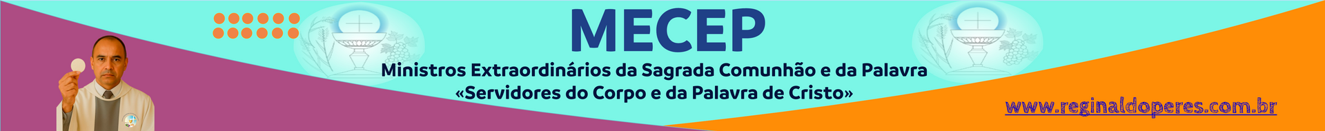 Professor Reginaldo Peres